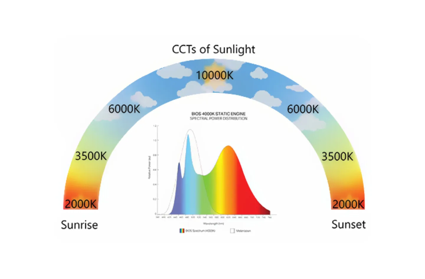 BIOS SkyBlue | Axis Lighting