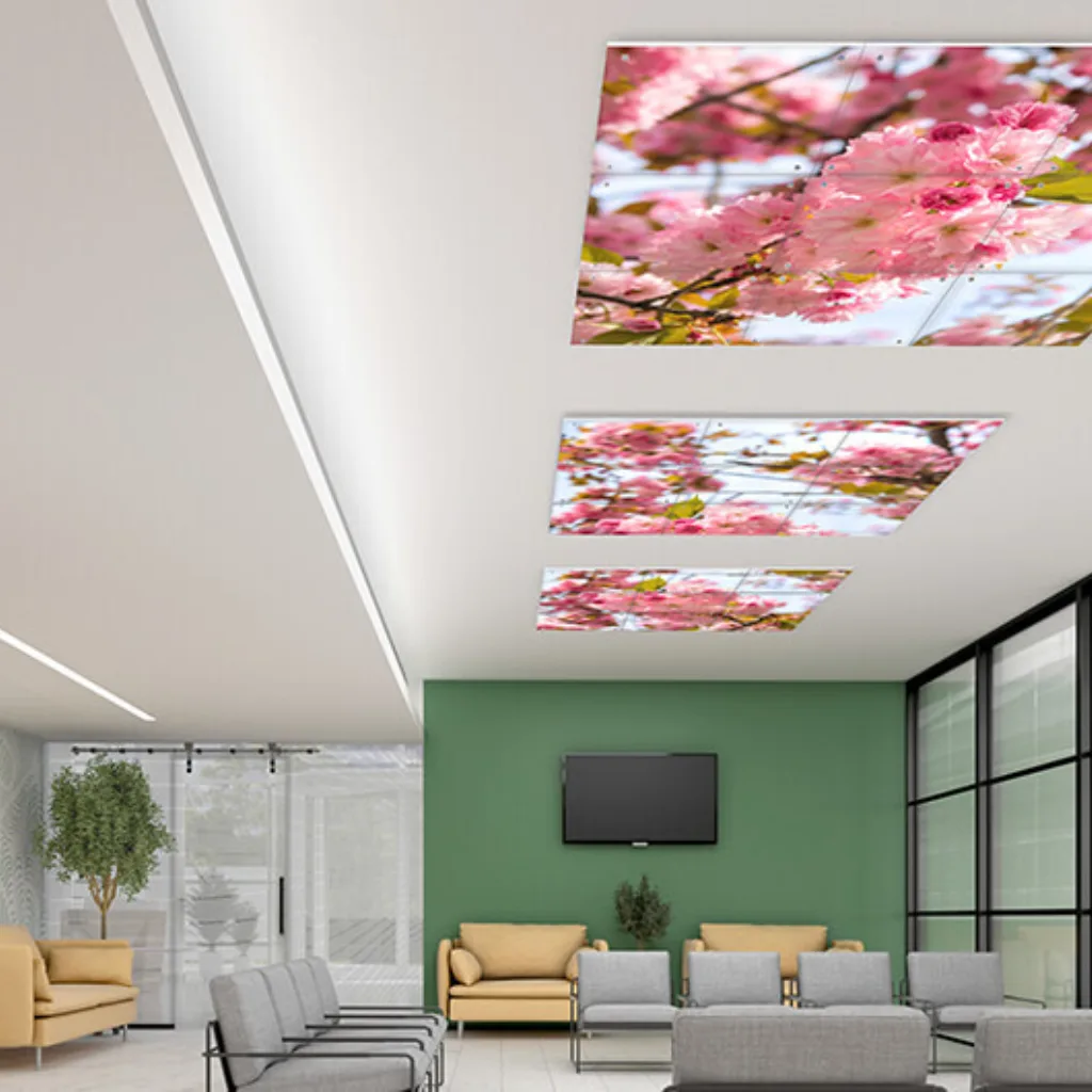 BalancedCare | Axis Lighting