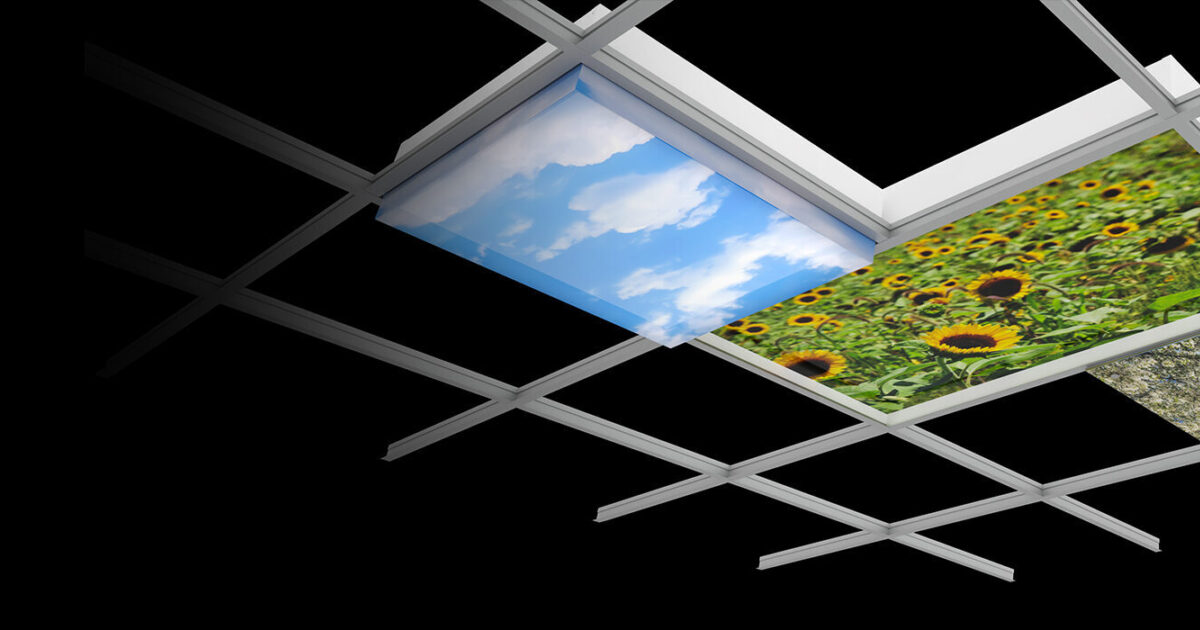 Tranquility | Axis Lighting