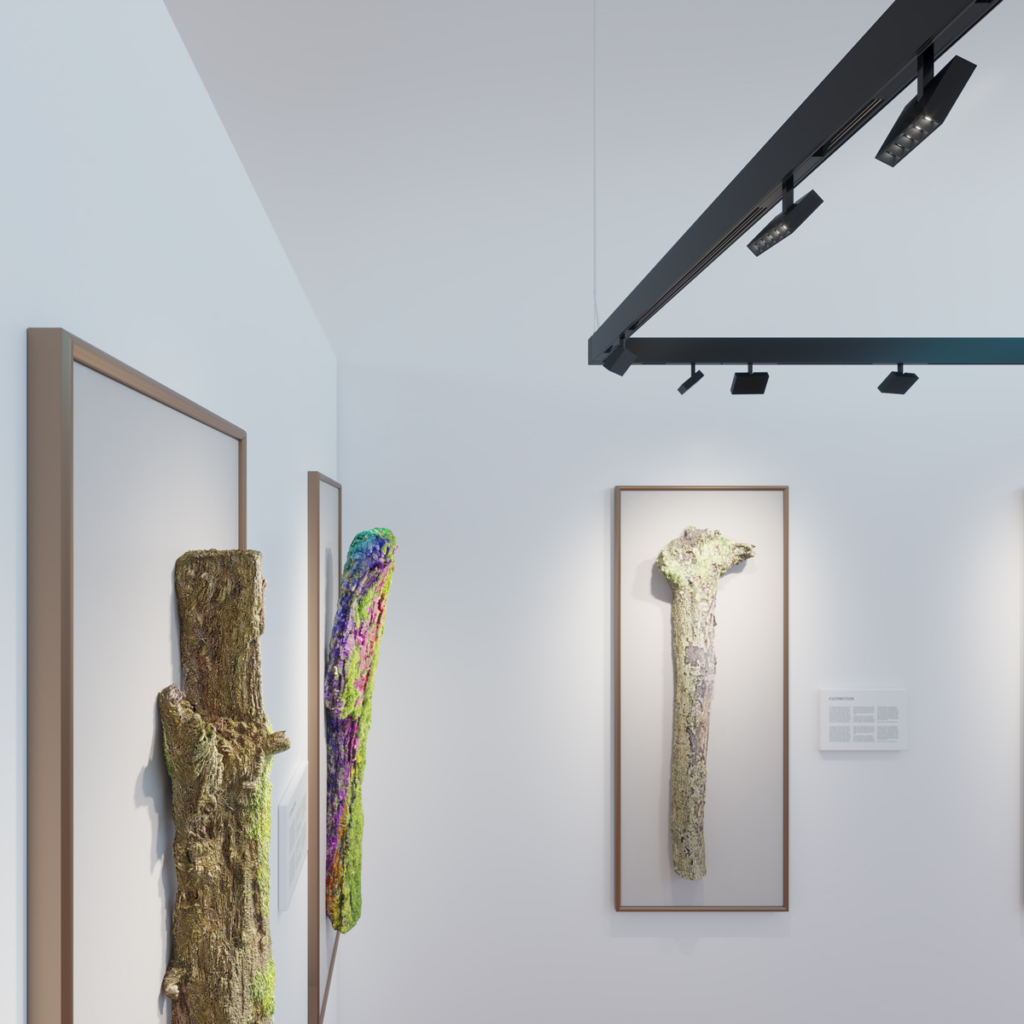 Product Family | Axis Lighting