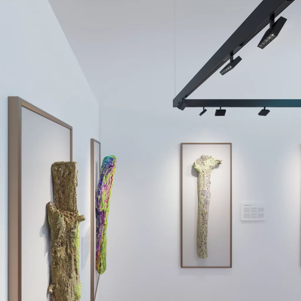 Product Family | Axis Lighting