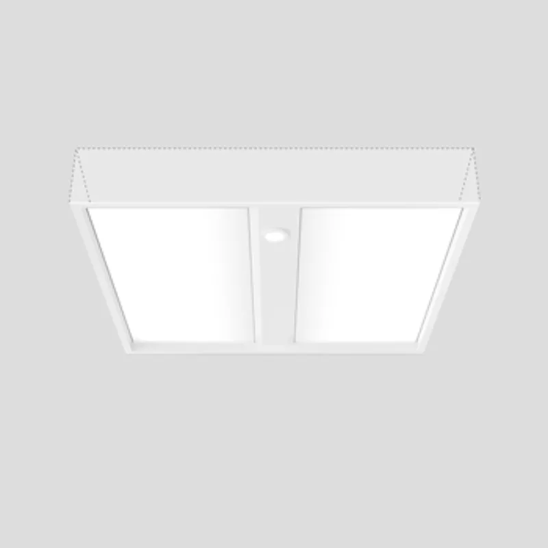 Multi-Function Overbed – 2×4 Recessed | Axis Lighting
