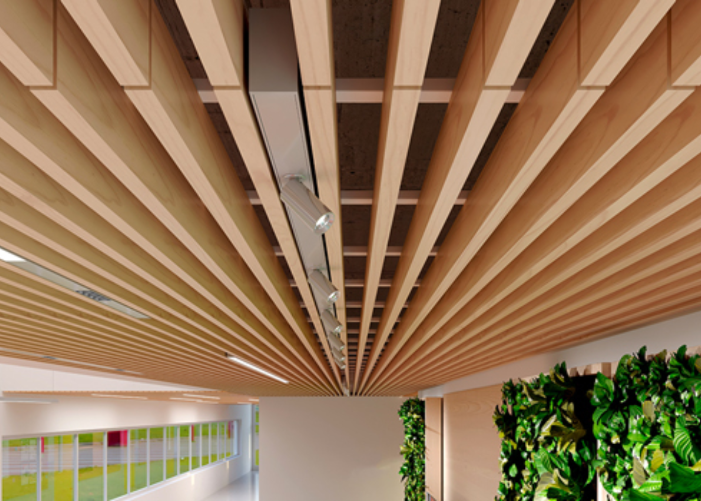 Product Family | Axis Lighting